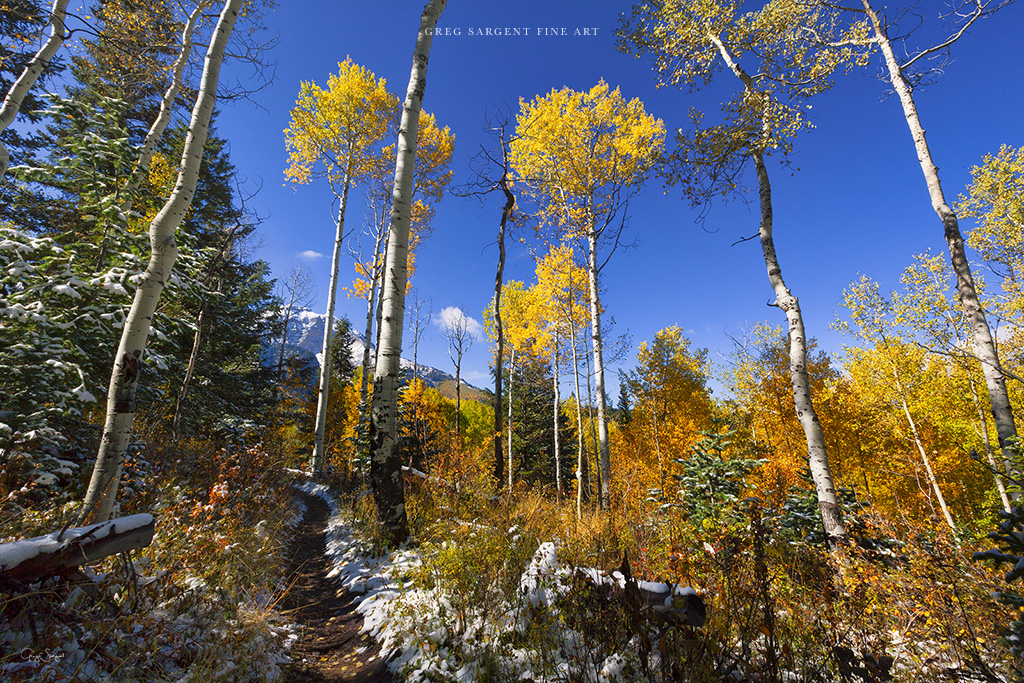 Greg Sargent / Northern Slopes Gallery